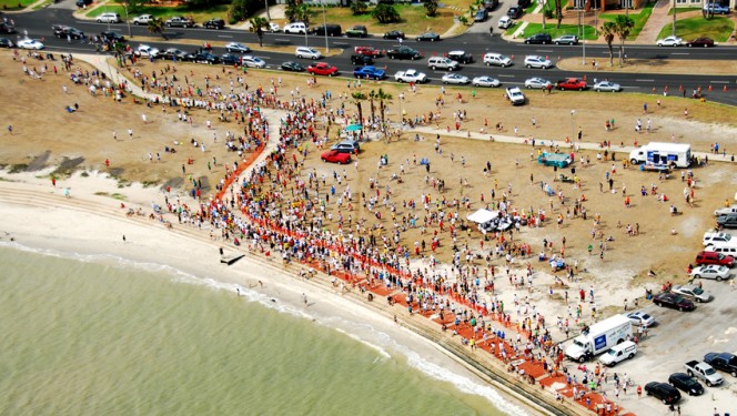 BUS SERVICE | Beach to Bay